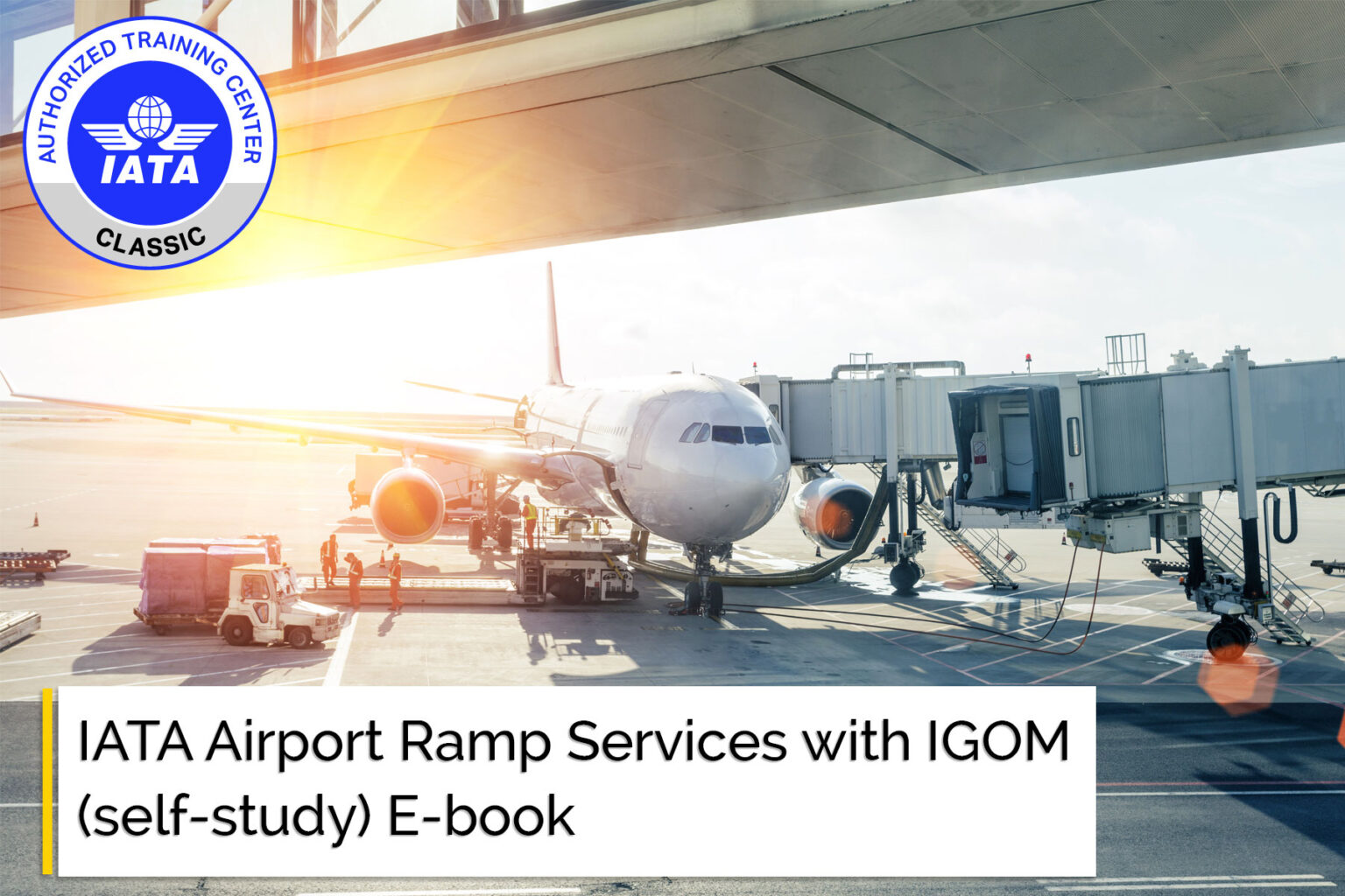 IATA Training: Airport Ramp Services - Octans Training